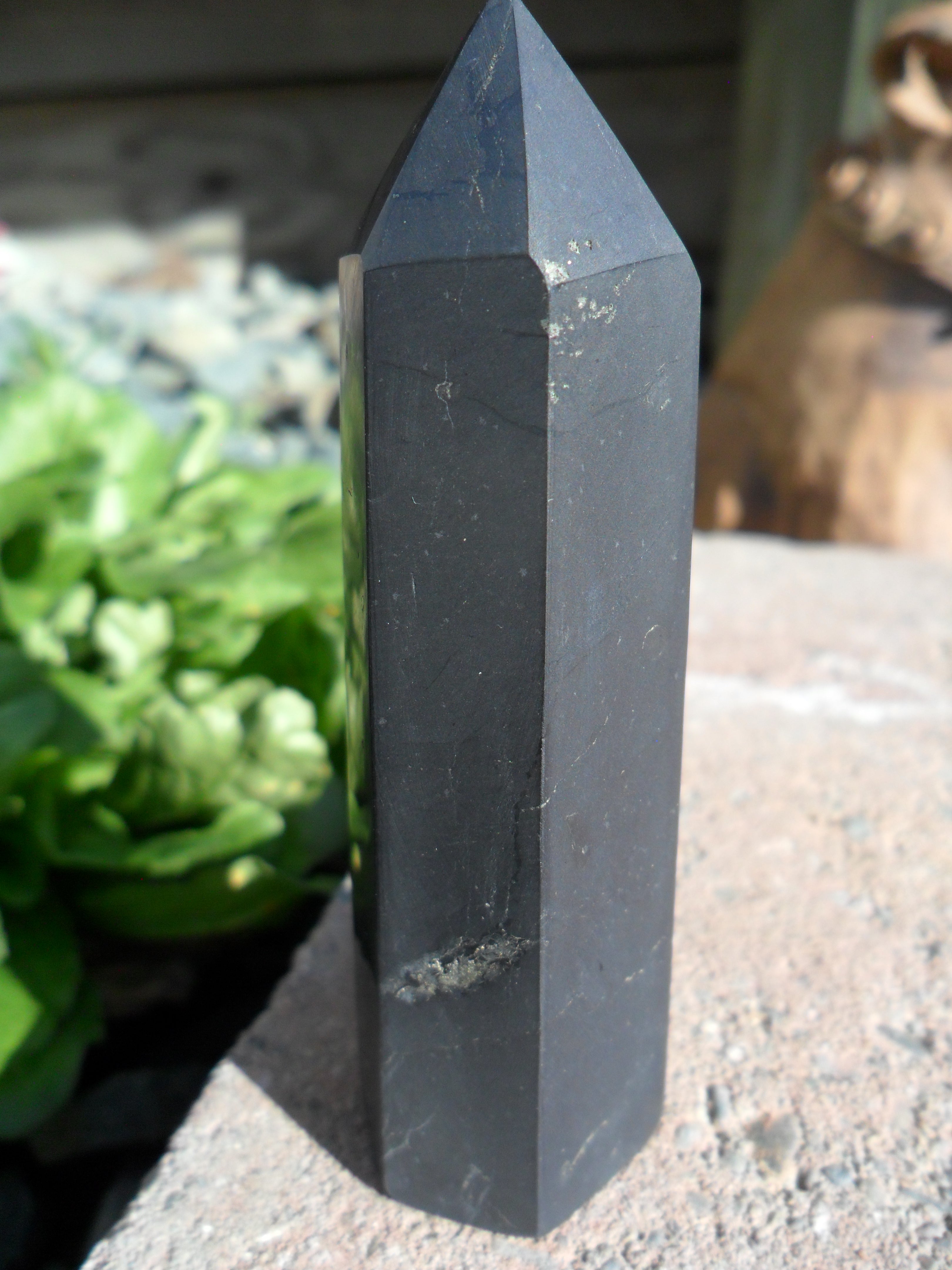 Shungite Point – Mystic Journies
